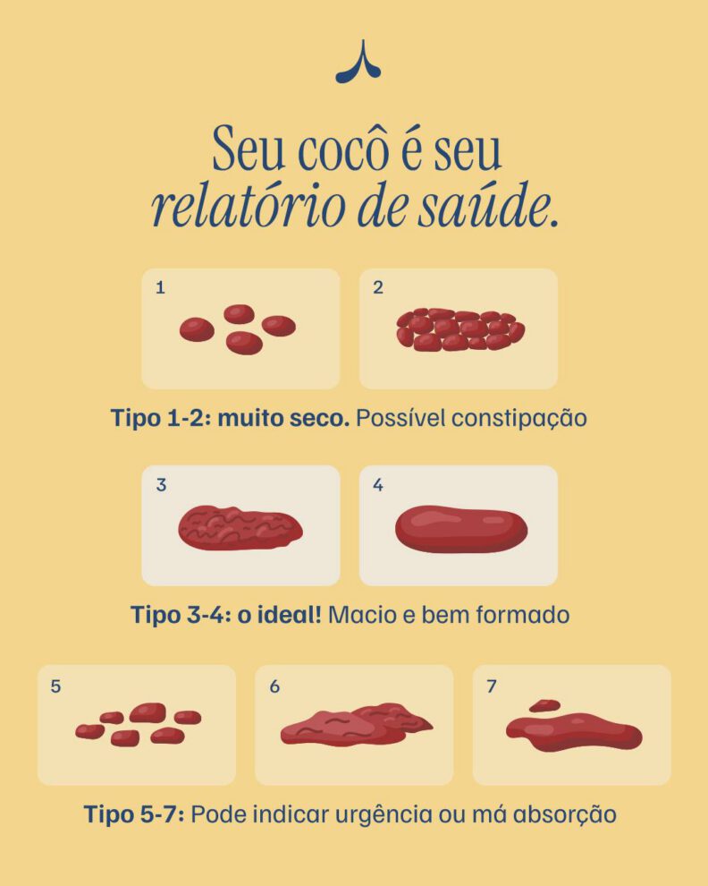 O que é Constipação - Blog Allevio